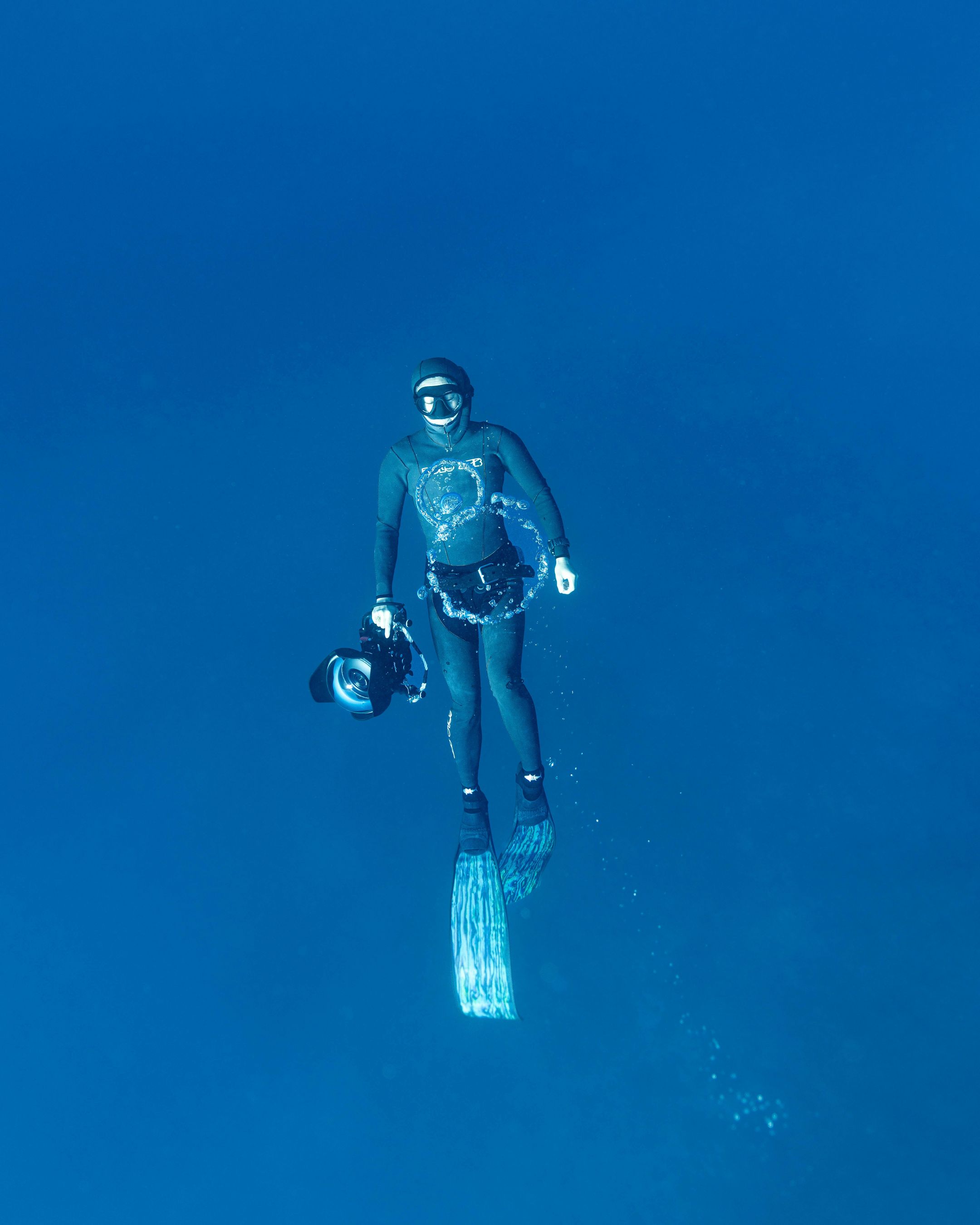Blue Seafaris | Freedive Course- Wave 1